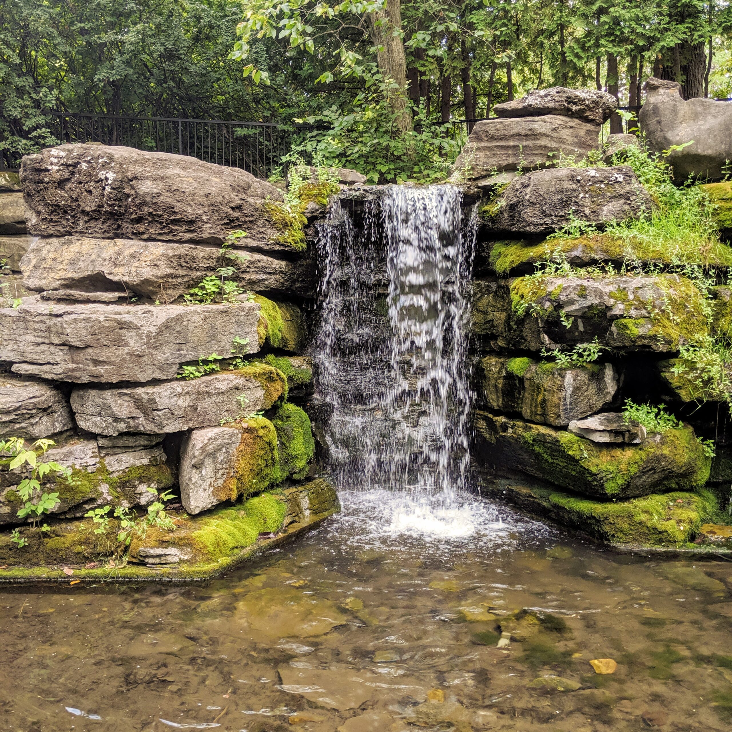 10 Best Parks to Visit in Montreal - Books for Mind
